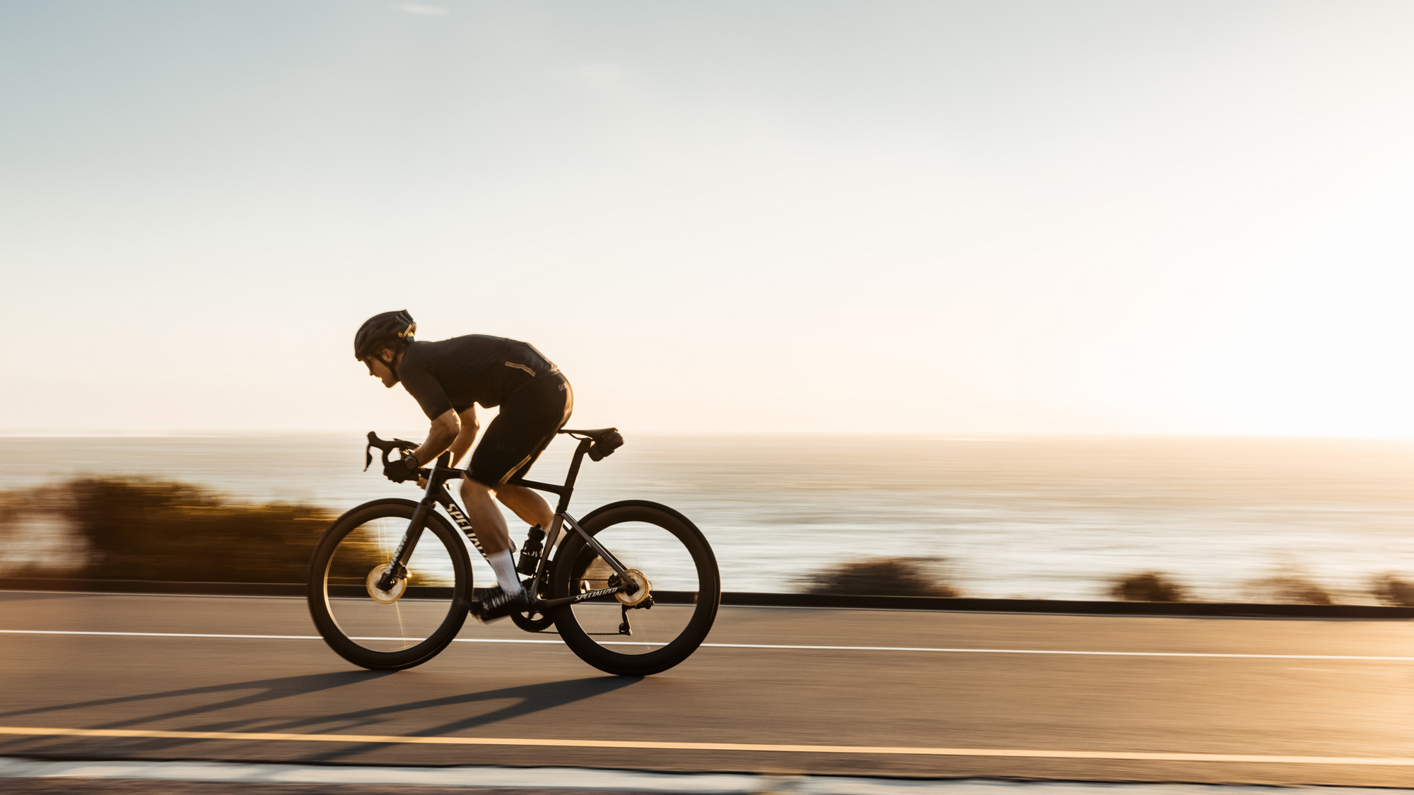 Specialized.com.tw: 官方購物網站