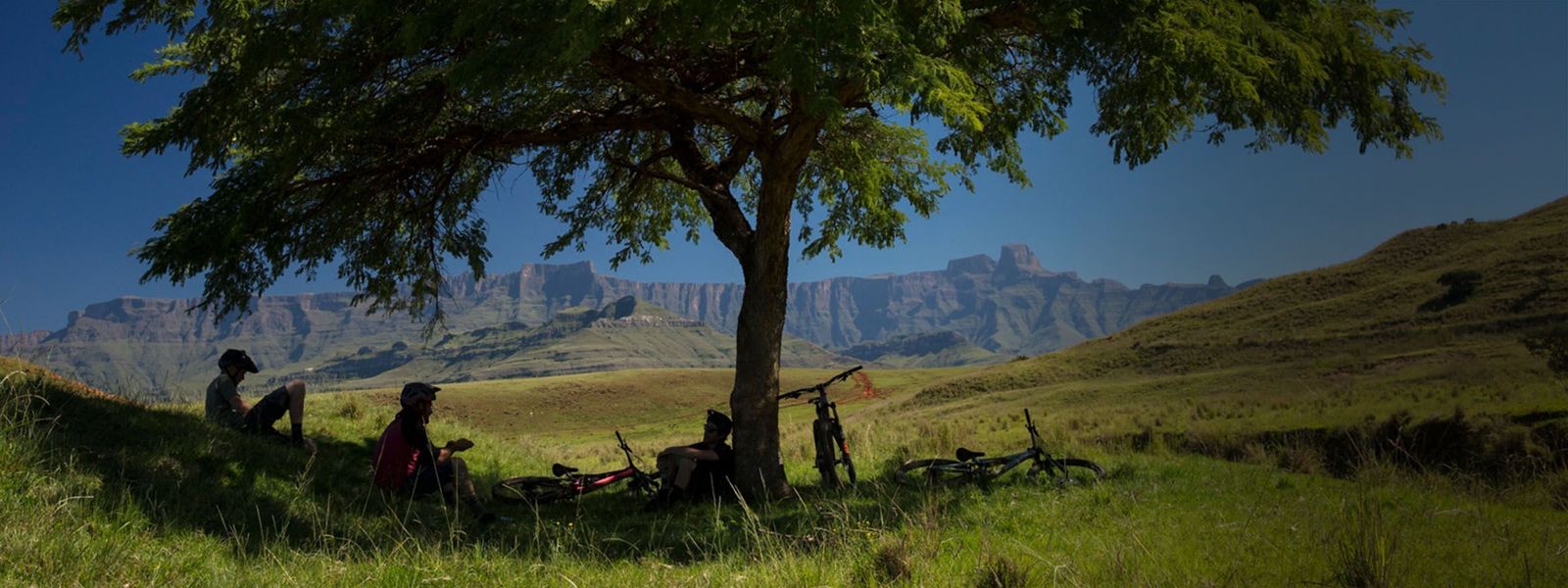 Road Bikes | Specialized Taiwan